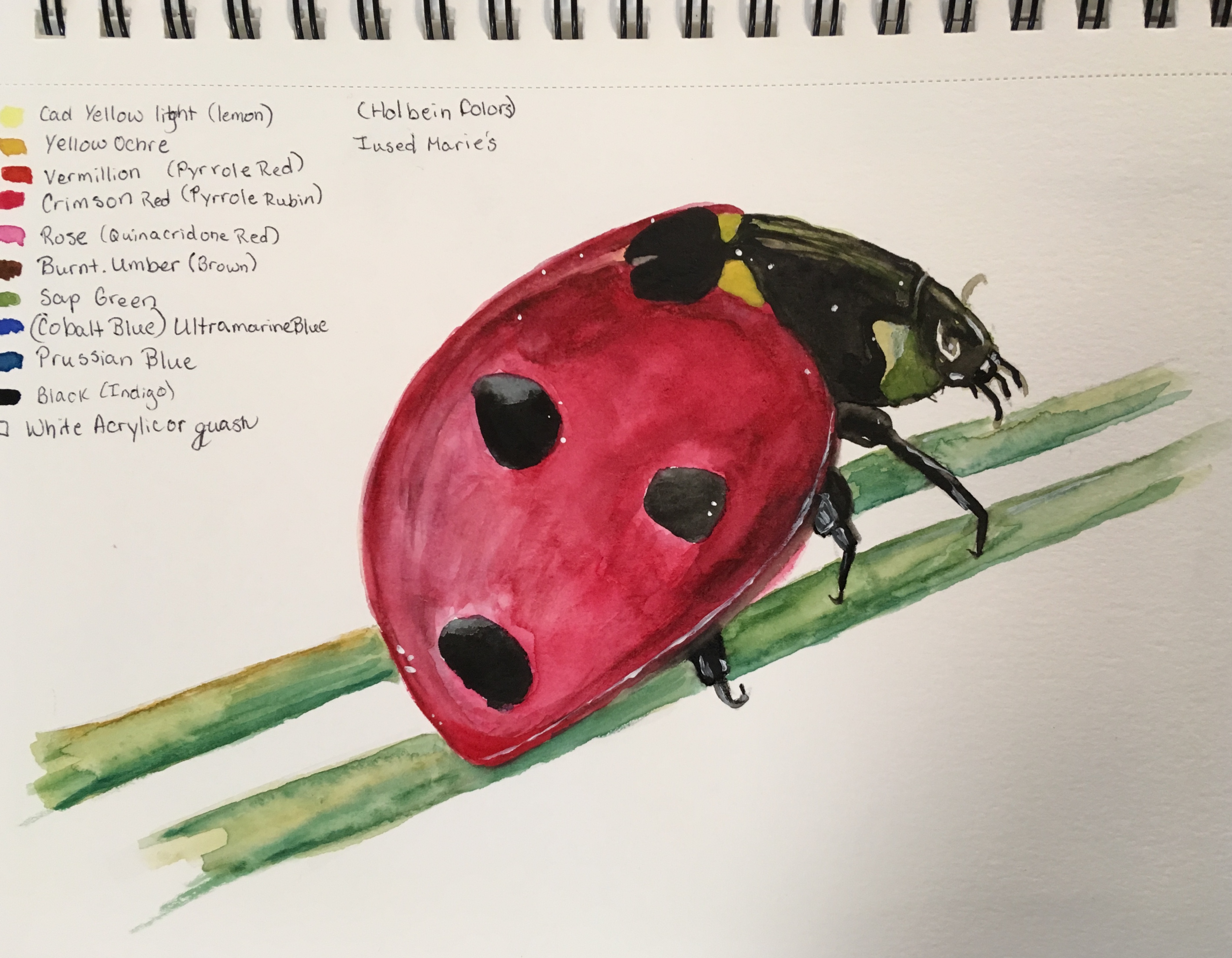 Little Fine Arts Studio